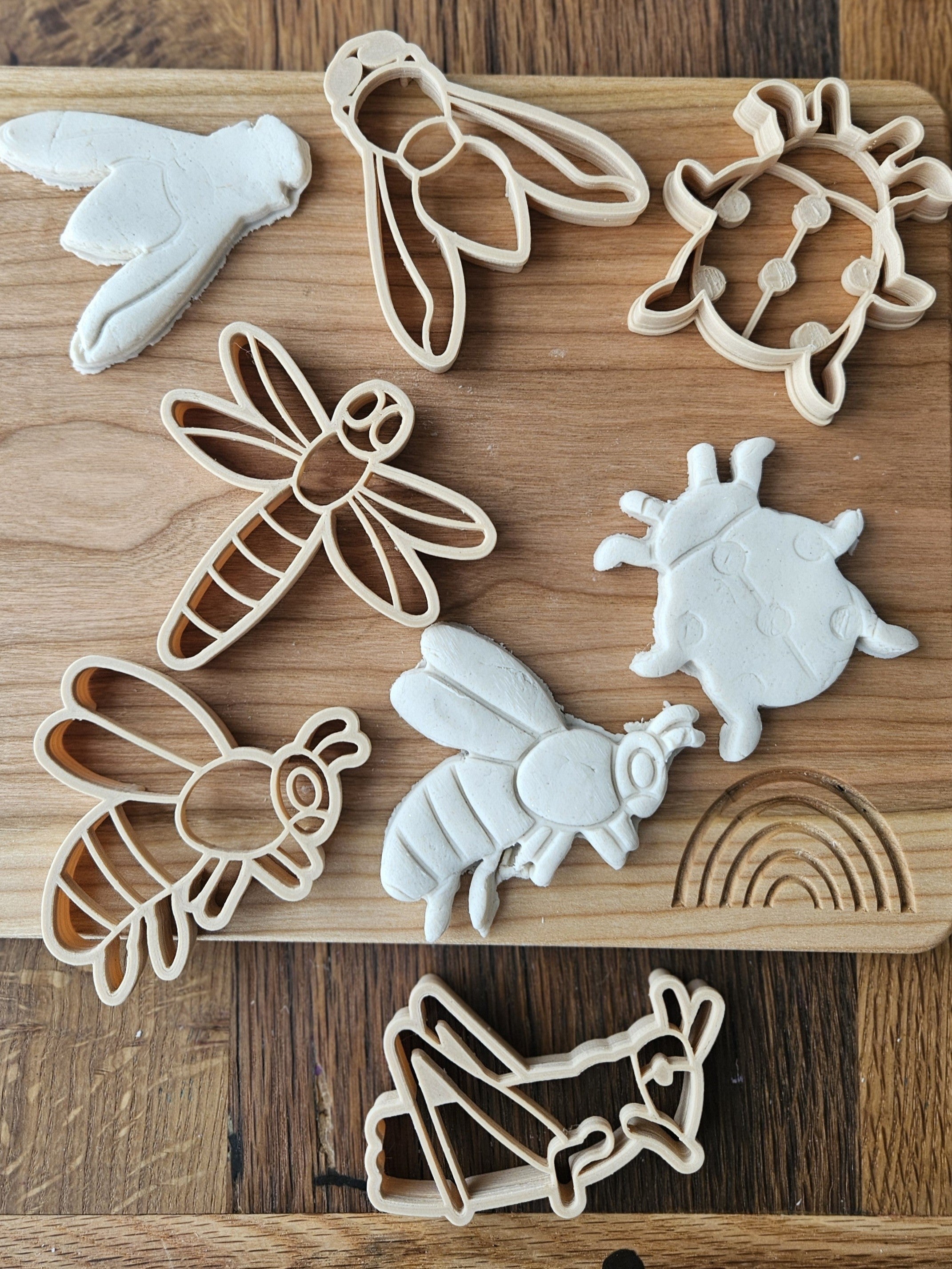 Insect Eco Cutter Set – whimsicaldough